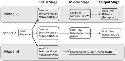 Frontiers | Modeling the development of cortical responses in primate dorsal (“where”) pathway ...